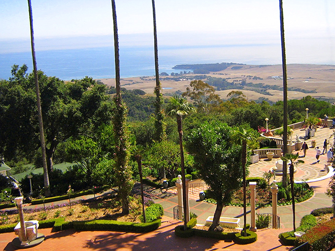 The golden hour at San Simeon casts a warm glow that makes even driftwood look like it belongs in an art gallery.