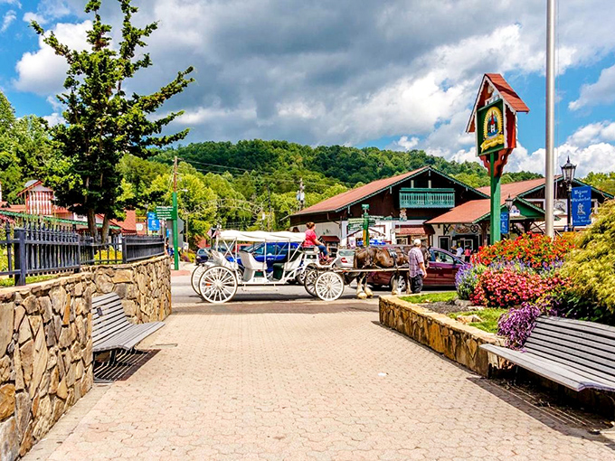 Sautee Nacoochee's horse-drawn carriage adds old-world charm to this picturesque scene. Time travel is possible&mdash;no DeLorean required!