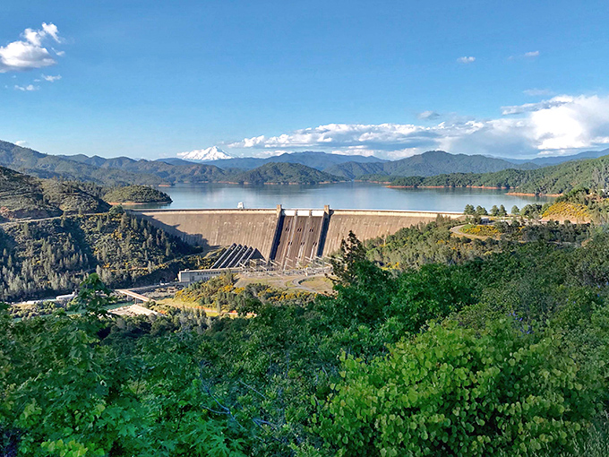 The impressive Shasta Dam stands as both engineering marvel and scenic wonder. Water, mountains, and infrastructure in perfect harmony!