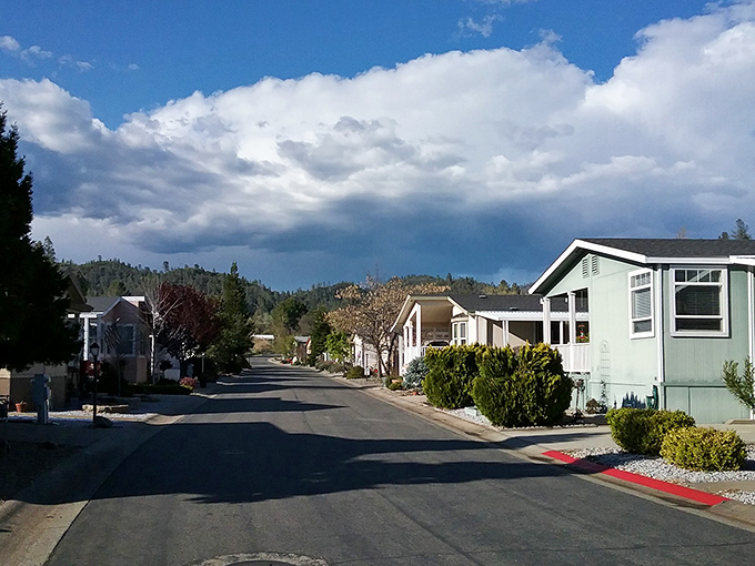 A charming downtown mountain paradise where vibrant life meets wilderness beauty.