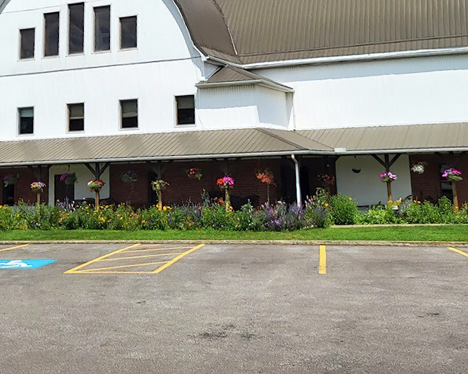 Colorful flowers brighten The Barn Restaurant's rustic charm. Where country aesthetics meet countryside flavors in perfect harmony.