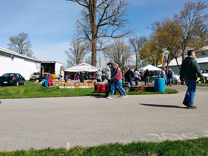 Early birds catch the deals! Morning shoppers at Tiffin Flea Market get first pick of the treasures before the afternoon crowds arrive.