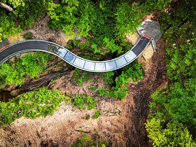From above, the curved walkway resembles a gentle brushstroke against the forest canvas&mdash;engineering and nature in perfect harmony.