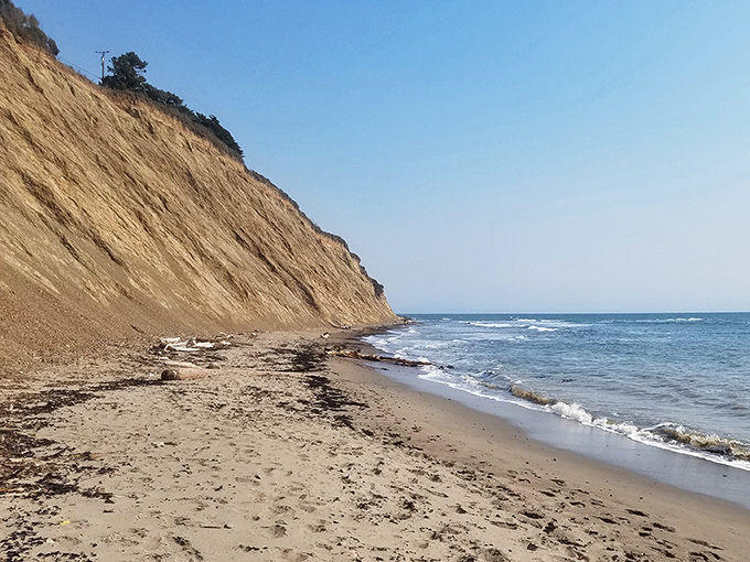 Agate Beach keeps its treasures subtle, rewarding patient beachcombers with gems polished by Pacific waves.
