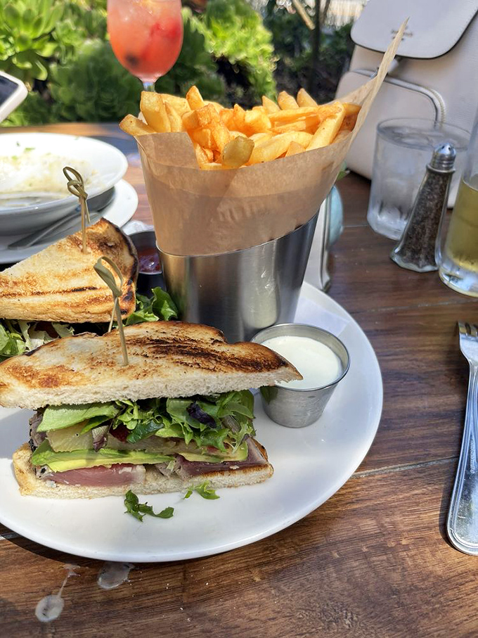 This sandwich isn't just lunch&mdash;it's architecture. The structural integrity of that tuna melt deserves an engineering award.