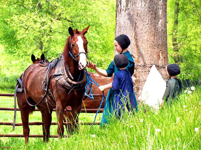The gentle connection between children and animals speaks volumes about the Amish approach to life&mdash;respectful, purposeful, and present.