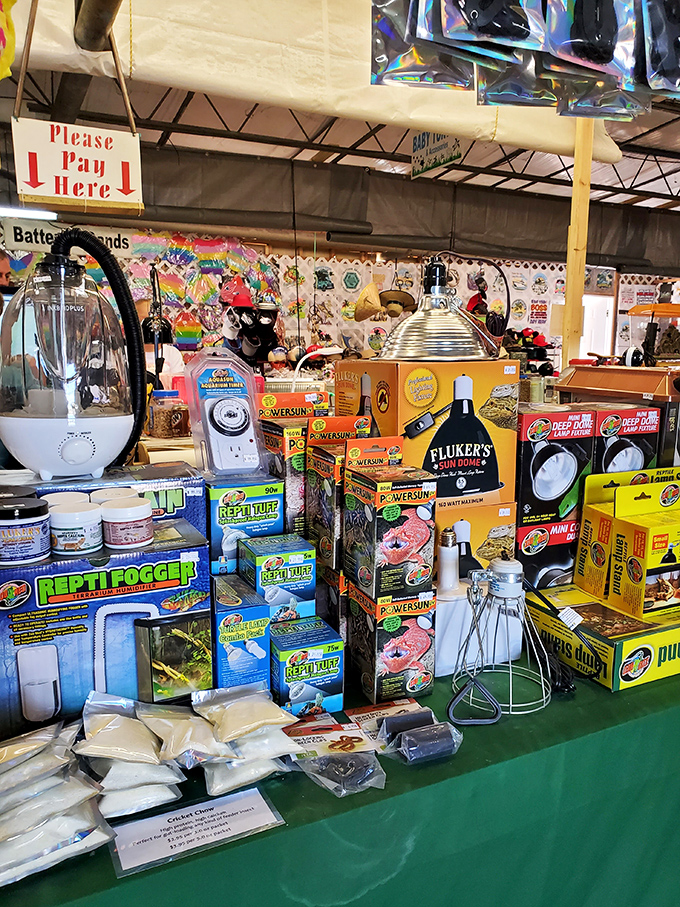 Reptile enthusiasts find their happy place amid heat lamps and habitat supplies&mdash;proof that Renninger's caters to hobbyists of every imaginable variety.