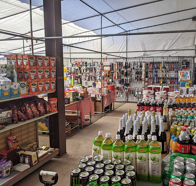 Arizona Market Place offers treasure hunting without the metal detector. One person's "slightly used" is another's "vintage find."