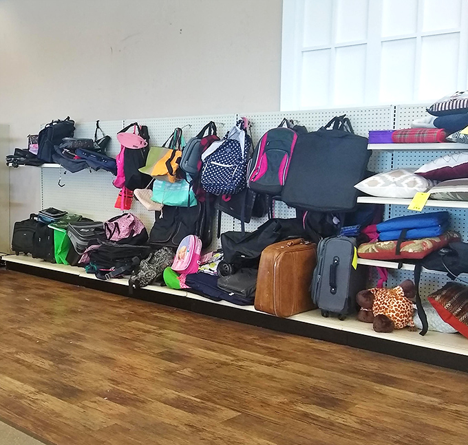 The luggage lineup - a colorful collection of bags that have likely seen more of the world than most of their future owners.