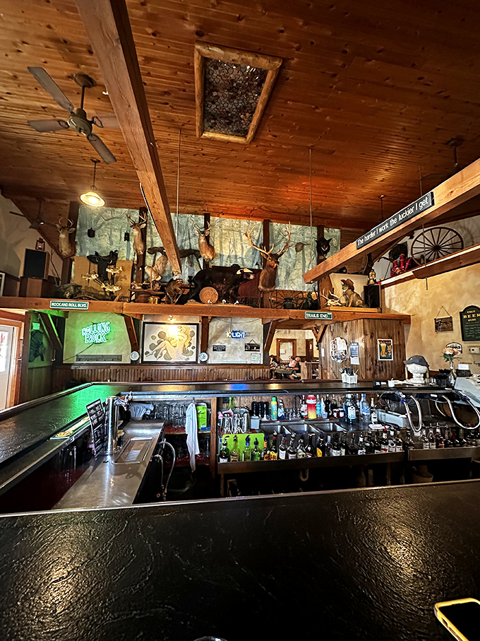 The bar area showcases Pennsylvania's hunting heritage above, while below, liquid refreshments await to complement your forest feast.
