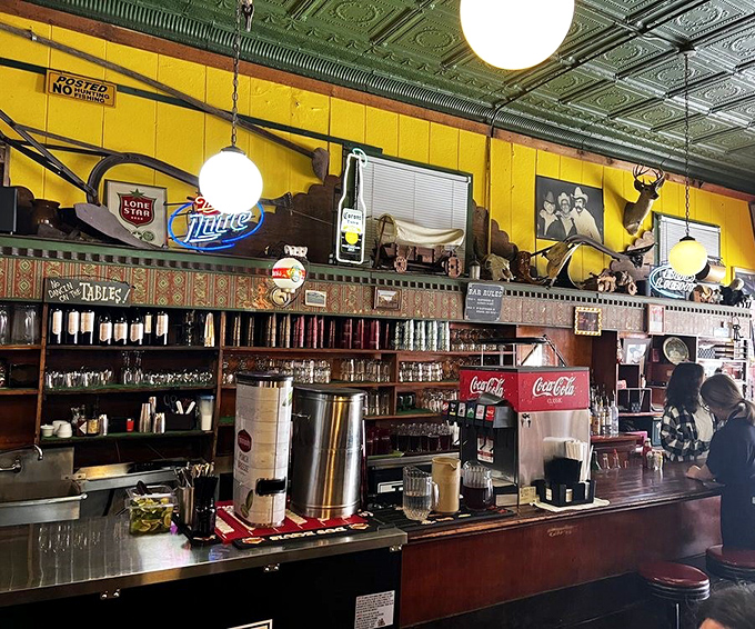 The bar area doubles as a museum of Americana, where beer signs illuminate decades of collected memories and mounted trophies.