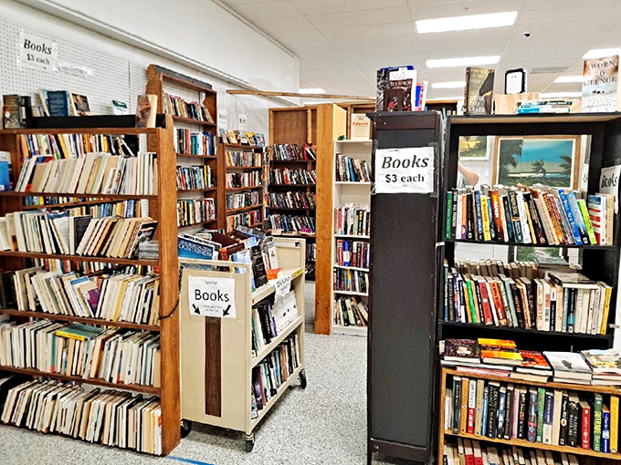 Books at $3 each? That's cheaper than a fancy coffee and provides much longer-lasting enjoyment. Literary treasures await the patient browser.