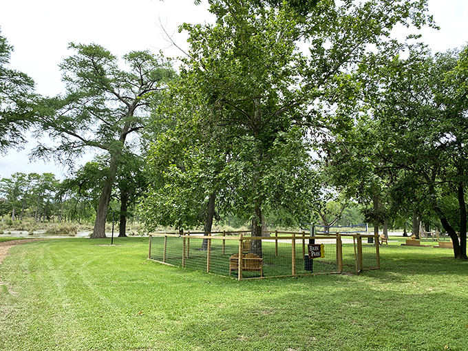 This fenced area isn't just a dog park—it's a canine social club where the four-legged members exchange gossip while their humans make small talk.