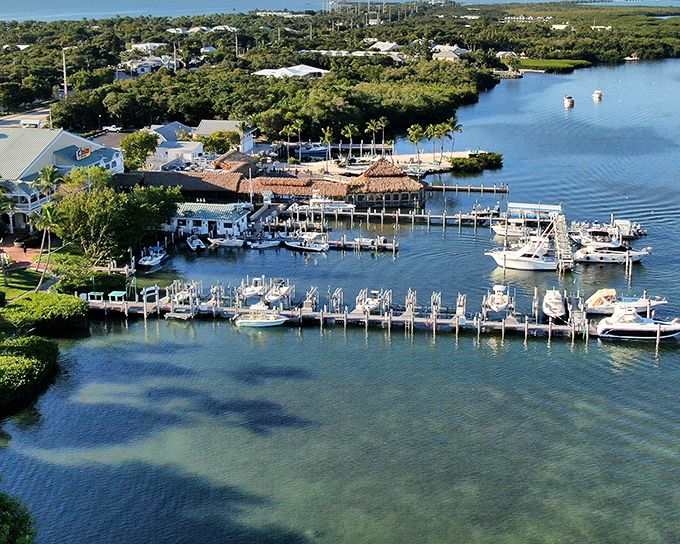The marina bustles with activity as boats come and go, each returning with stories as colorful as the Keys themselves.