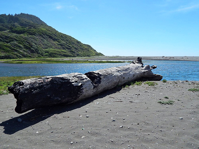 Where the mountains meet the sea in a geological handshake. Earth's elements collaborating on a masterpiece millions of years in the making.
