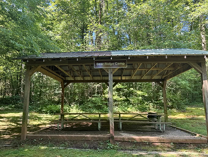 Bear Ridge Camp: where the bears have better real estate than most humans. This covered picnic area offers shelter with a side of wilderness.