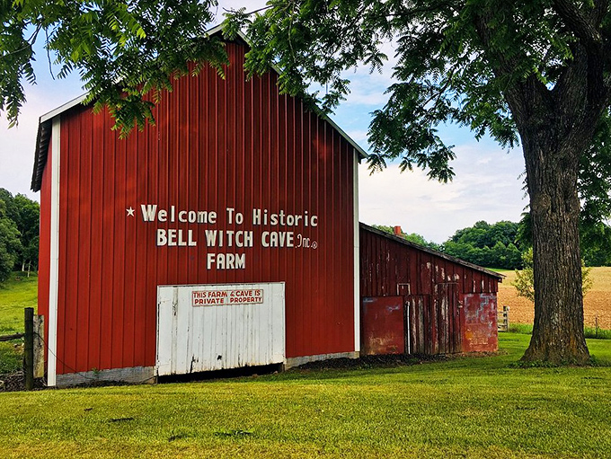 The iconic red barn welcomes visitors to the historic property, its weathered paint telling stories before the tour even begins.