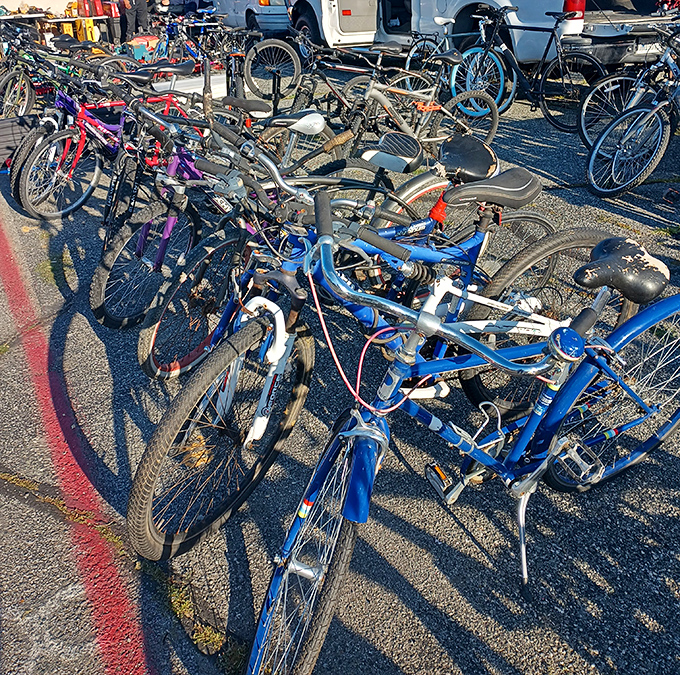 Bicycle brigade parked and priced to ride. From beach cruisers to mountain bikes, your next two-wheeled adventure is just a haggle away.