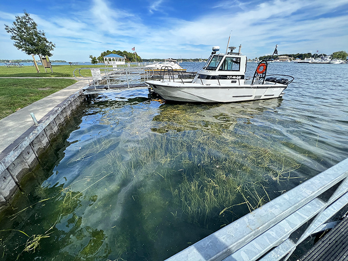 Clear waters reveal nature's aquarium below. Even the fish here seem to understand they're living in prime lakefront real estate.