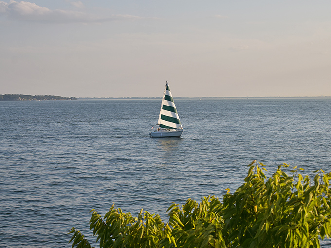 That striped sail against endless blue horizon? Pure Lake Erie poetry in motion, no English degree required to appreciate it.