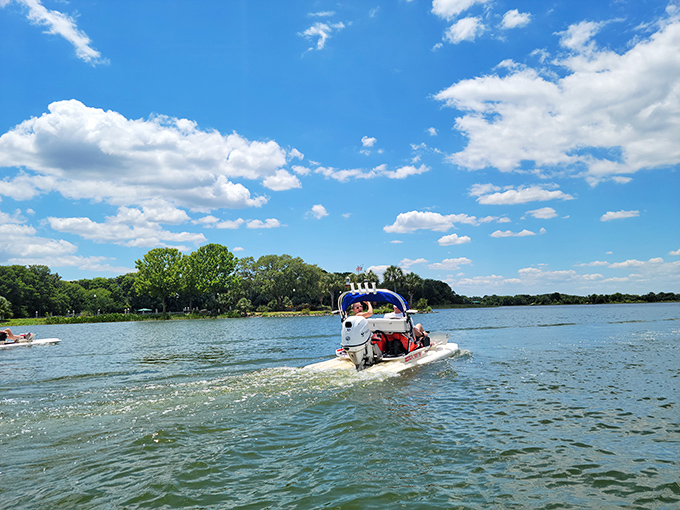 Boating on Lake Dora offers the quintessential Florida experience—blue skies, bluer water, and the constant possibility of spotting wildlife along the shore.