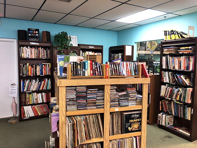 The book section: where paperback beach reads come to find their third owner. That vintage vinyl collection hiding below might contain your high school anthem.