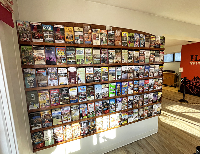 A wall of local adventures awaits - because great meals deserve equally great post-lunch exploration plans.