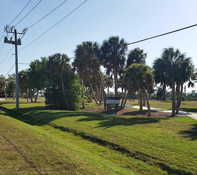 Palm trees standing guard at Buchan Airport Park. Nature's exclamation points saying "Welcome to affordable paradise!"