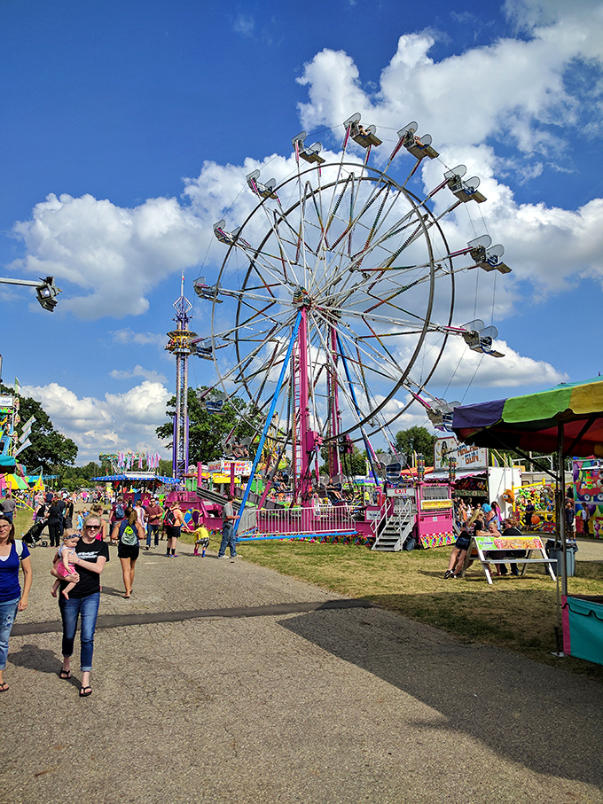 The Calhoun County Fair transforms Marshall once a year, proving that Ferris wheels against Michigan skies still create the perfect summer memory.