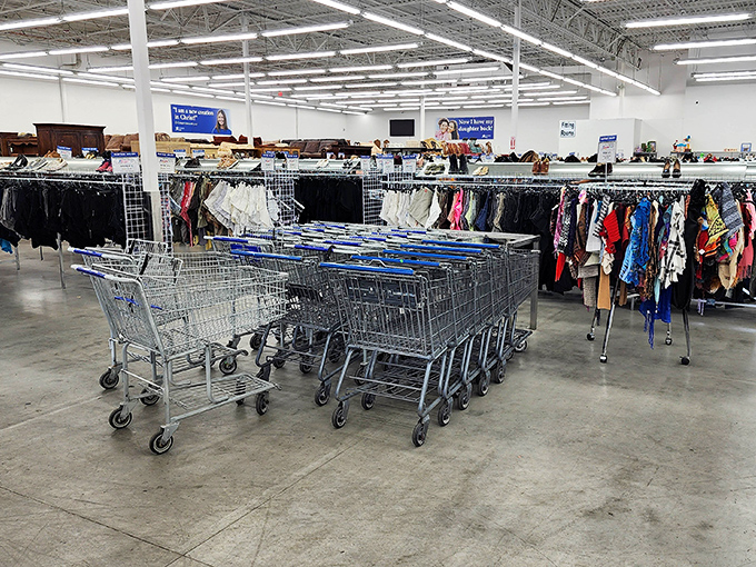 The shopping cart brigade stands at attention, ready for thrifting duty. These metal steeds await their knights of the bargain round table.