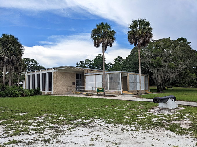 Mid-century modern meets Old Florida in this museum building, where palm trees stand taller than architectural ego.