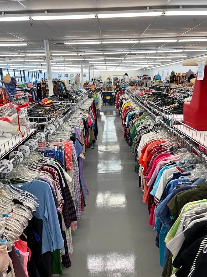 Fashion finds organized in neat rows where designer dreams meet reality budgets.