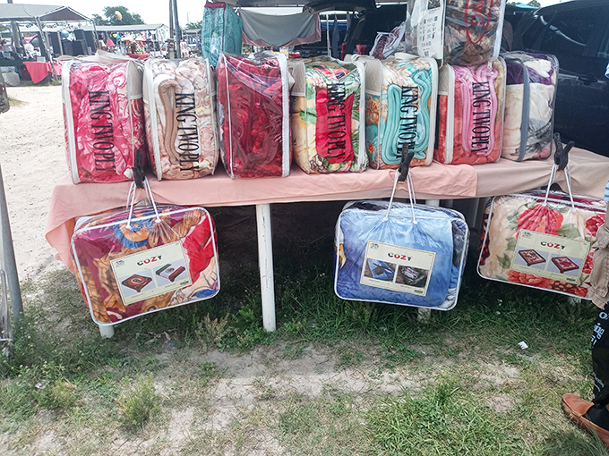 Bedding bonanza! These colorful comforters promise dreams as vibrant as their patterns &ndash; vacuum-sealed for your carrying convenience.