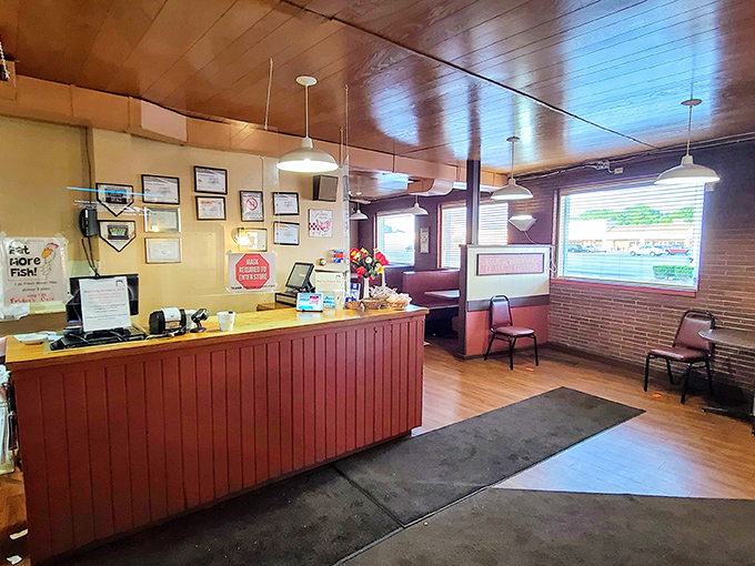 Behind this counter, chicken magic happens daily. No smoke, no mirrors, just decades of perfected Serbian-style frying techniques.