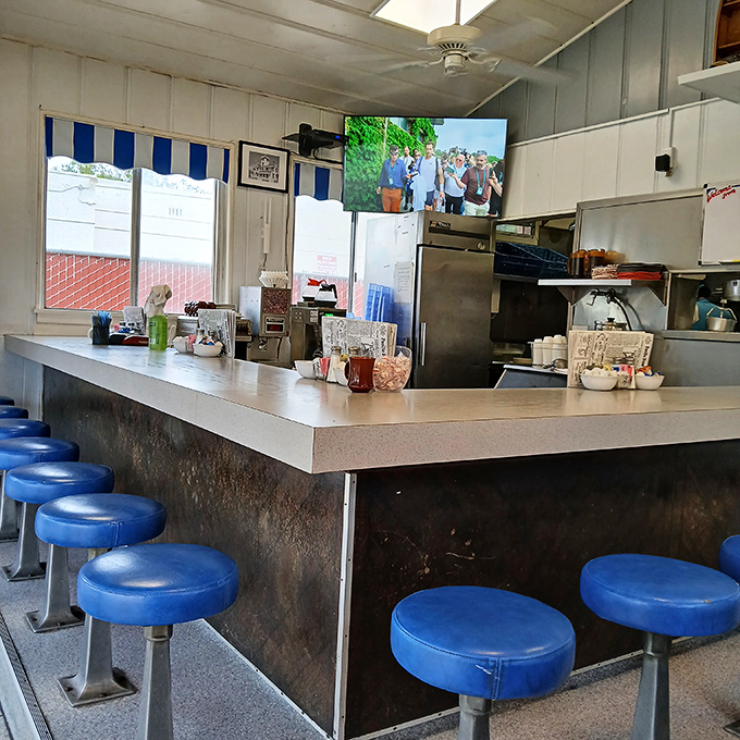 The counter&mdash;where solo diners find community, regulars claim their territory, and blue stools have supported generations of hungry San Pedrans.