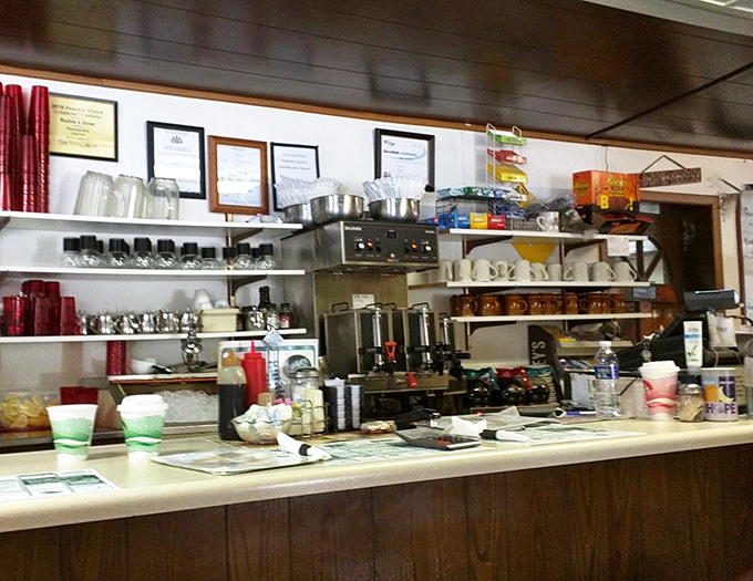 Behind every great diner is a counter setup that's witnessed decades of elbow-leaning conversations and countless "just one more refill" requests.