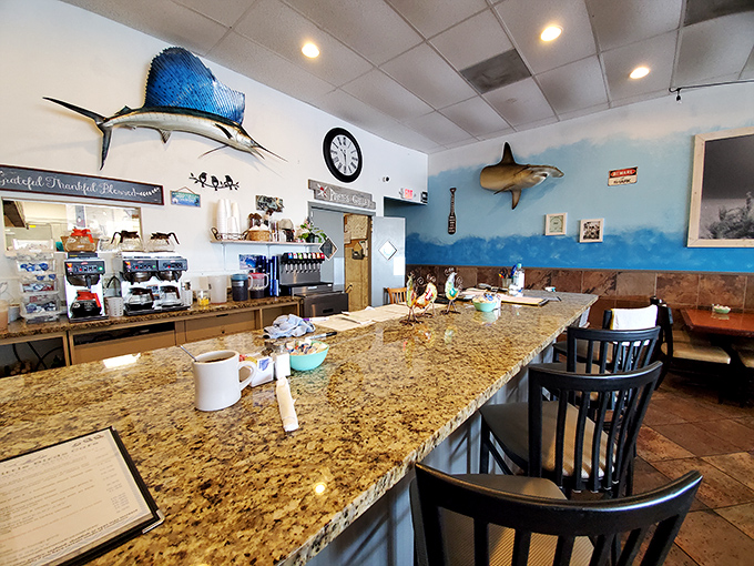 Counter seating with a view of the action&mdash;where fishing trophies watch over your breakfast like aquatic guardians.