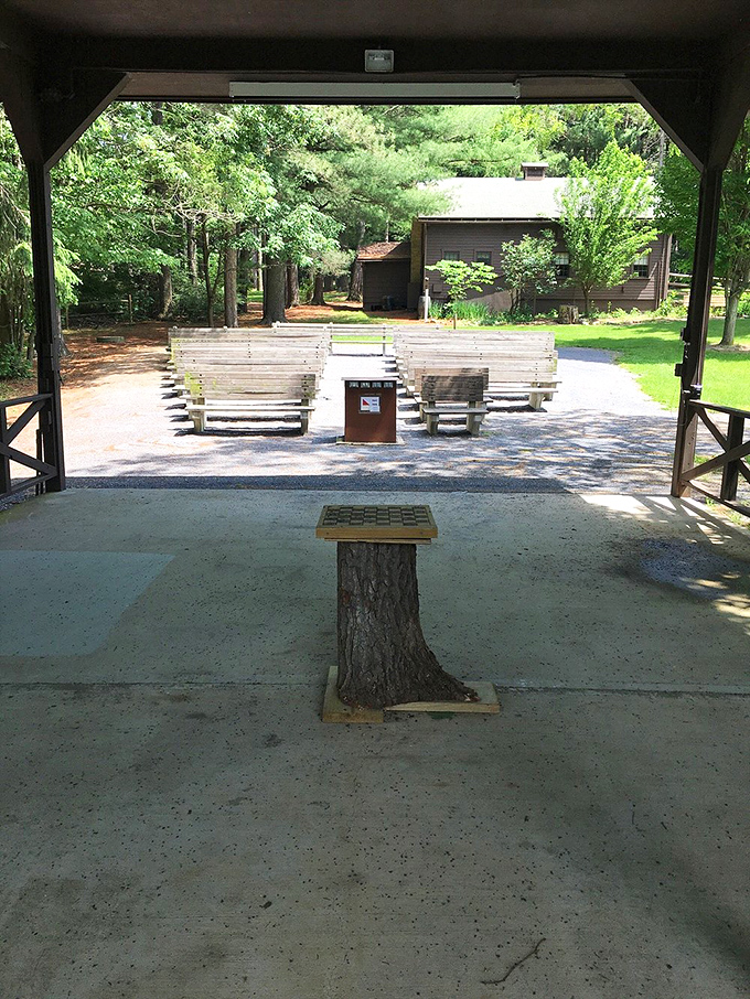 Nature's amphitheater &ndash; where the only performance review is how well you toast your marshmallows. 