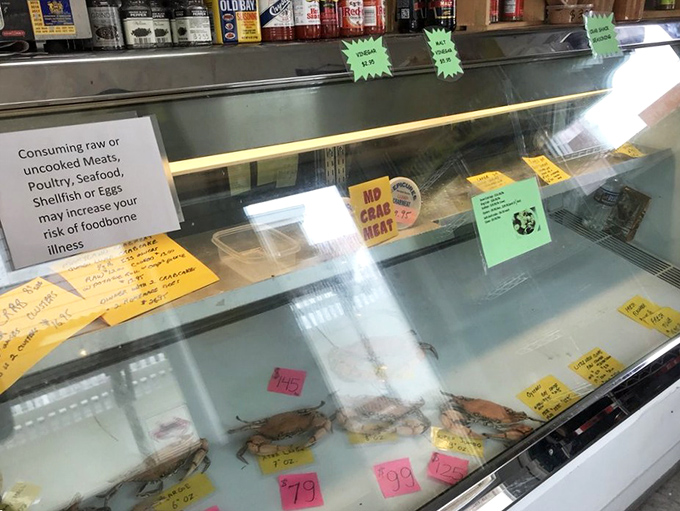 The glass case of temptation. Fresh catches await their destiny while colorful price tags tell the day's seafood story.