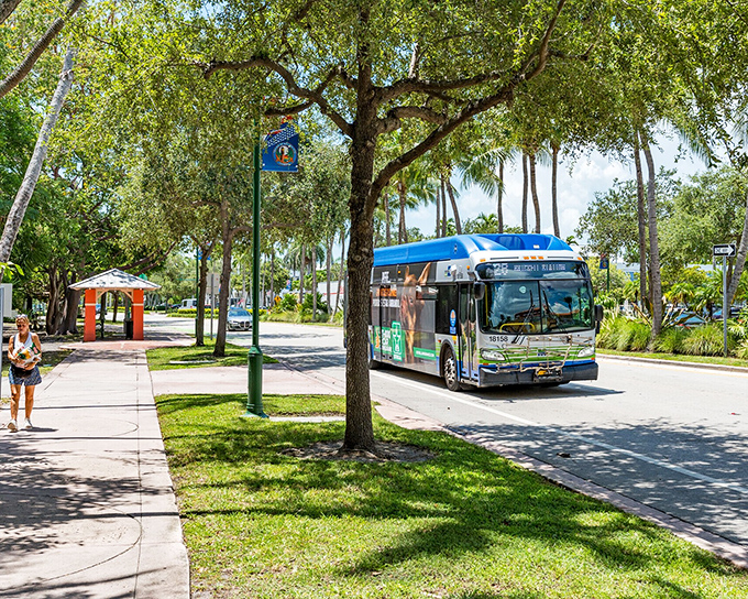 Public transportation, island style: where the bus routes are scenic enough to make you deliberately miss your stop just to enjoy the ride.