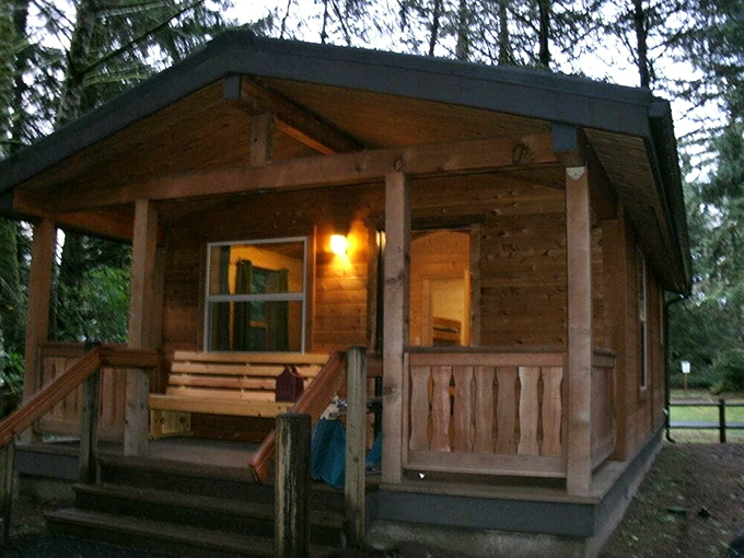 Rustic on the outside, cozy on the inside. These cabins prove you don't need five stars for a five-star wilderness experience.