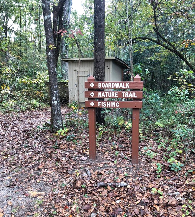 Nature's GPS system - follow these wooden arrows to discover all of Woods Bay's hidden wonders.