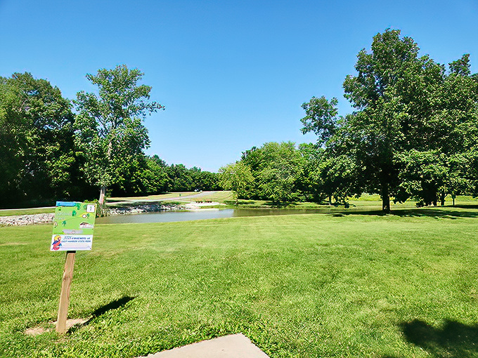 Where frisbees fly and worries don't, this open green space invites visitors to remember what recreation felt like before Netflix.