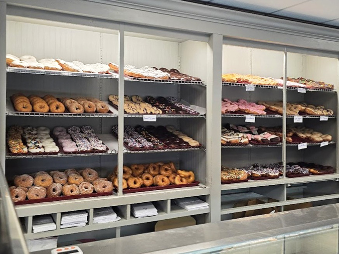 The donut case stands ready to solve your morning crisis with circular logic that actually makes sense.