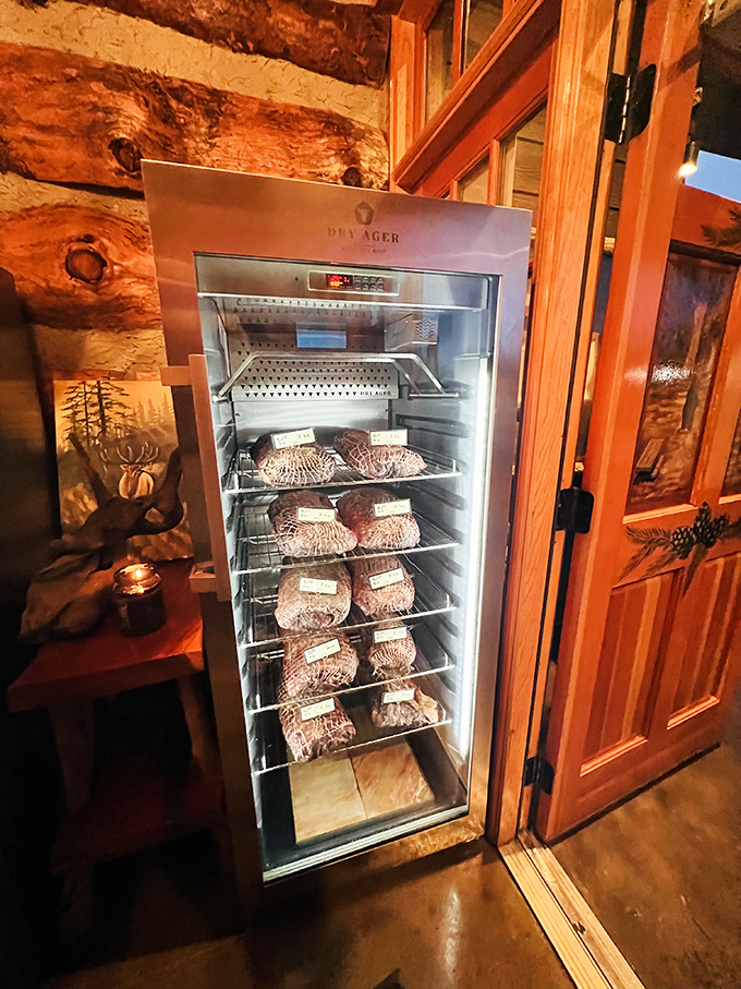Meat aging isn't just science&mdash;it's art. This dry-aging refrigerator is where patience transforms good steaks into the stuff of carnivorous dreams.