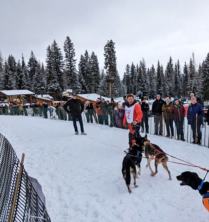 Winter transforms Joseph into a snowy playground where sled dogs and their mushers take center stage. Canine athletes outperforming humans since forever.