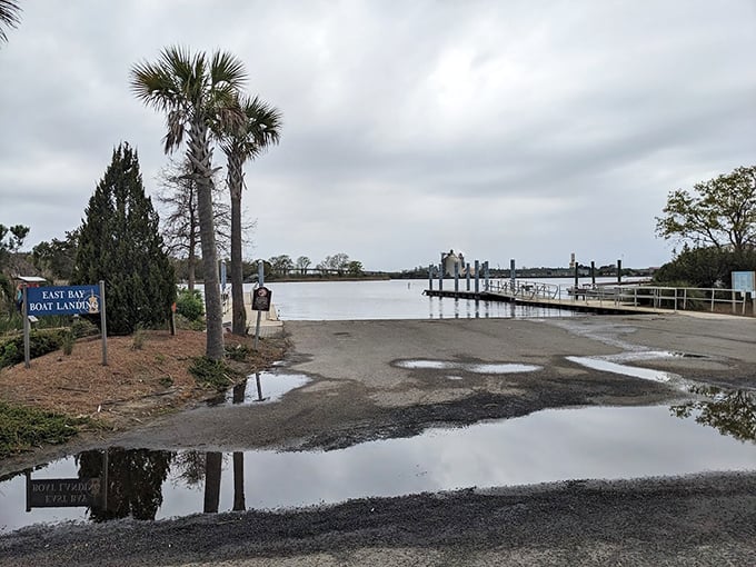 East Bay Park's boat landing offers a gateway to watery adventures, where the only traffic jams involve pelicans arguing over fishing spots.