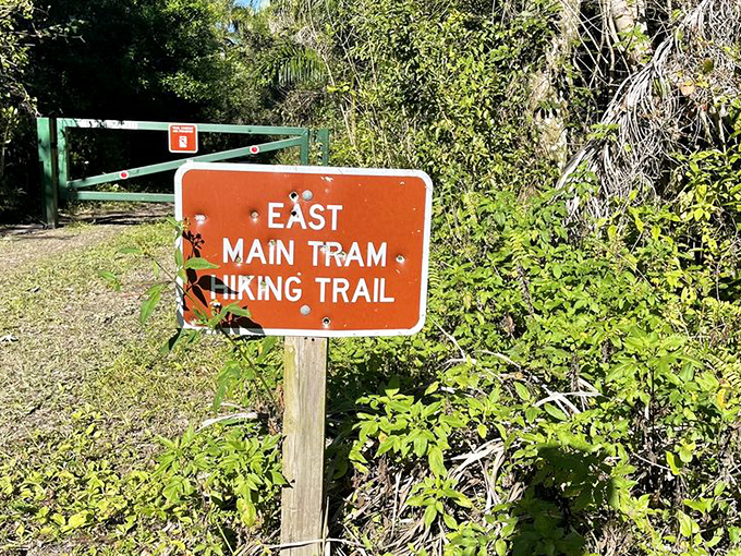 The East Main Tram trail beckons with promises of wilderness encounters. Adventure lies beyond that gate&mdash;bug spray strongly advised.
