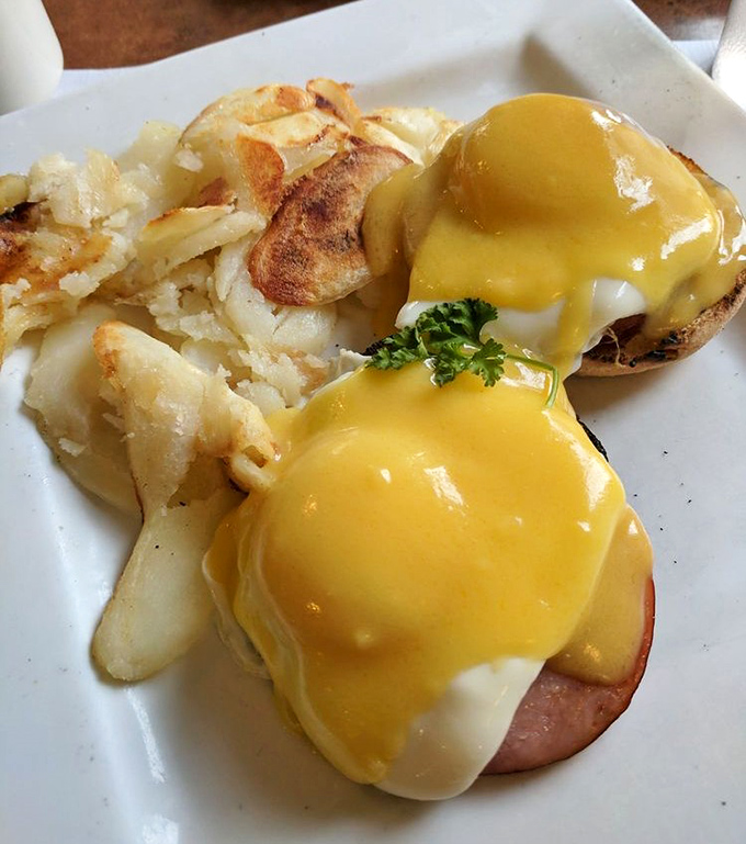 Eggs Benedict with hollandaise so yellow it could brighten a rainy day. The Canadian bacon underneath is the unsung hero of this breakfast masterpiece.