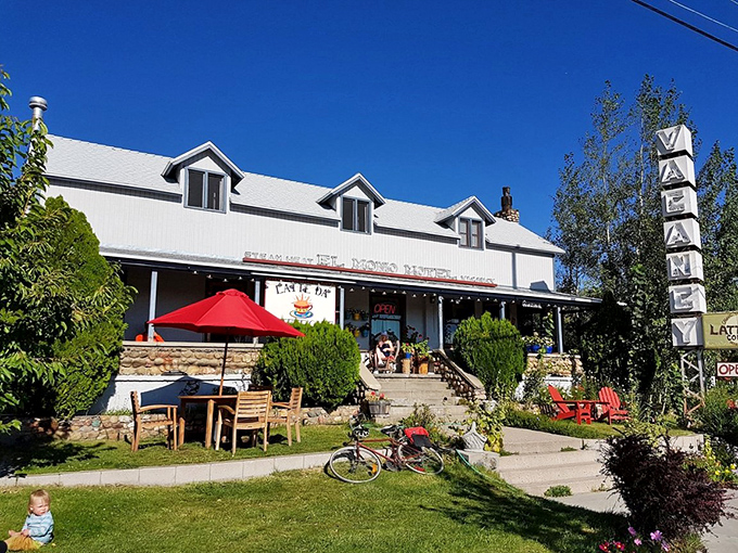 Latte Da Coffee Cafe offers the perfect blend of caffeine and charm &ndash; the ideal fuel-up spot before tackling Tioga Pass's hairpin turns.
